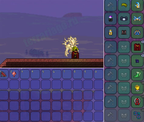 Download Character DIO for Terraria